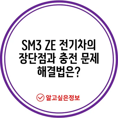 SM3 ZE 전기차의 장단점과 충전 문제 해결법은? - 알고싶은 정보